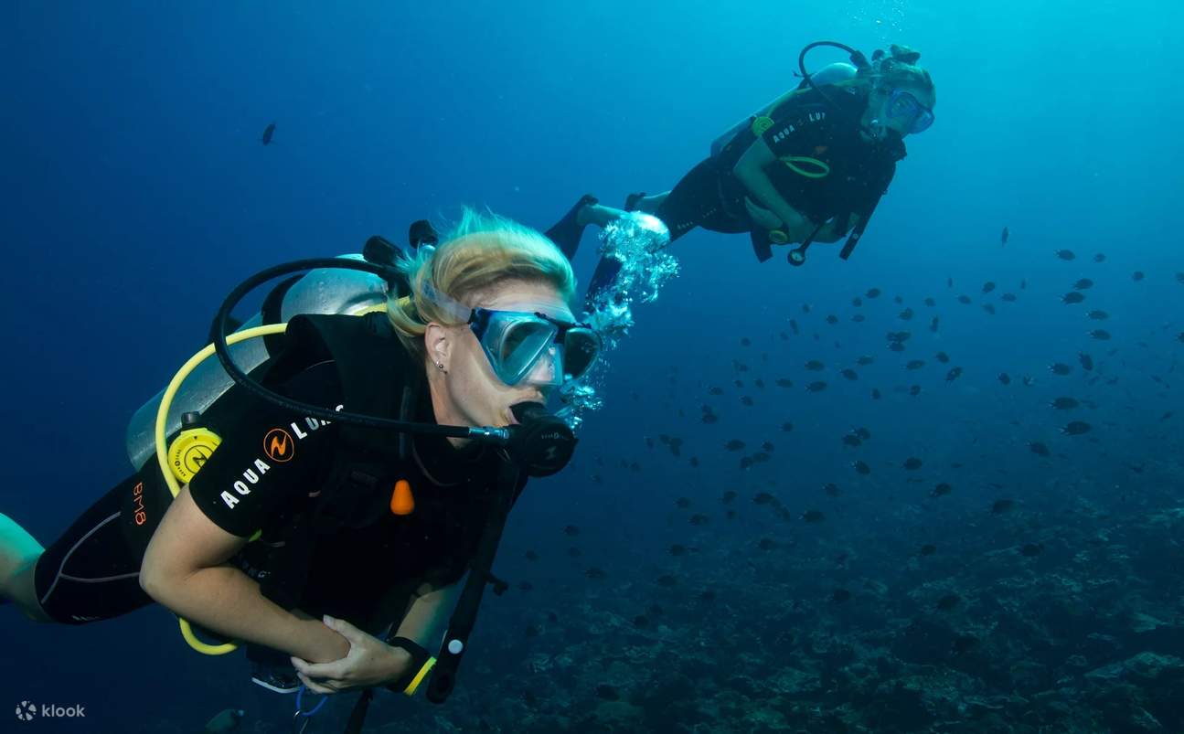 Explore the Depths with Advanced Open Water Course at Our PADI 5 Star ... Explore the Depths with Advanced Open Water Course at Our PADI 5 Star ...