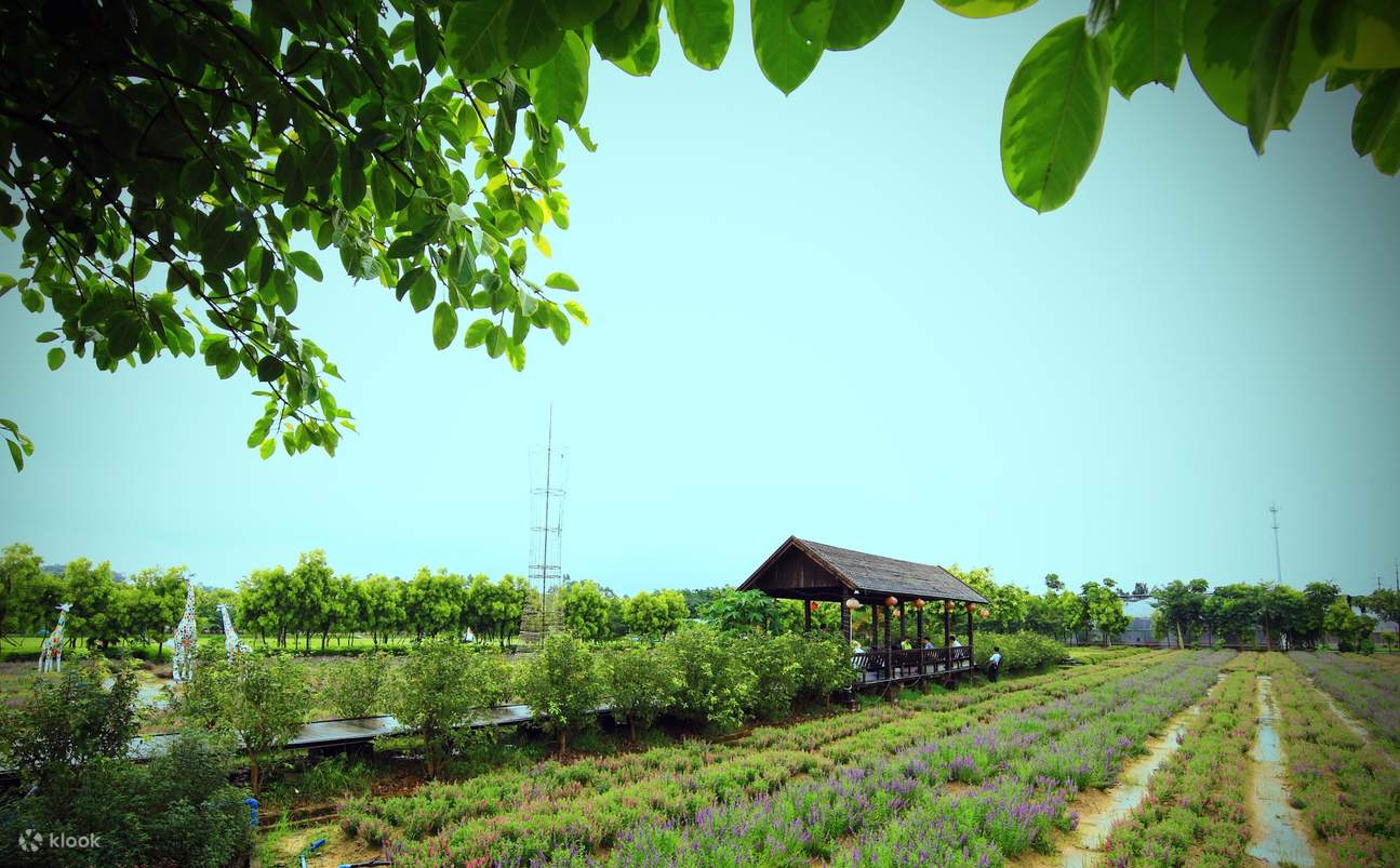 Vanilla World in Huadu, Guangzhou - Klook