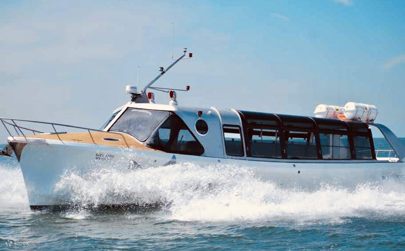 Enjoy Sunset, Fado, and DJ Party Night on River Cruise with Snacks and ...
