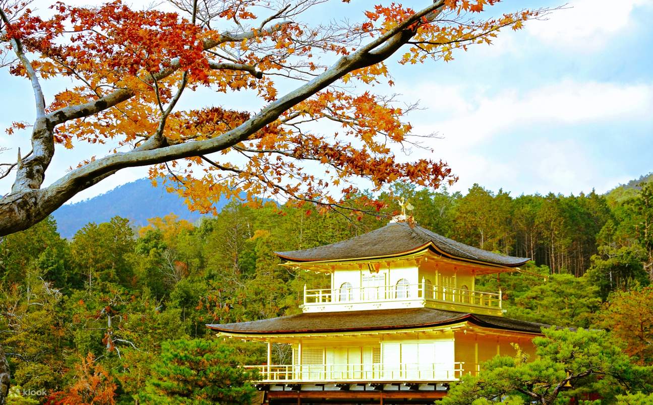 Kyoto and Nara Day Tour from Osaka/Kyoto in Japan - Klook