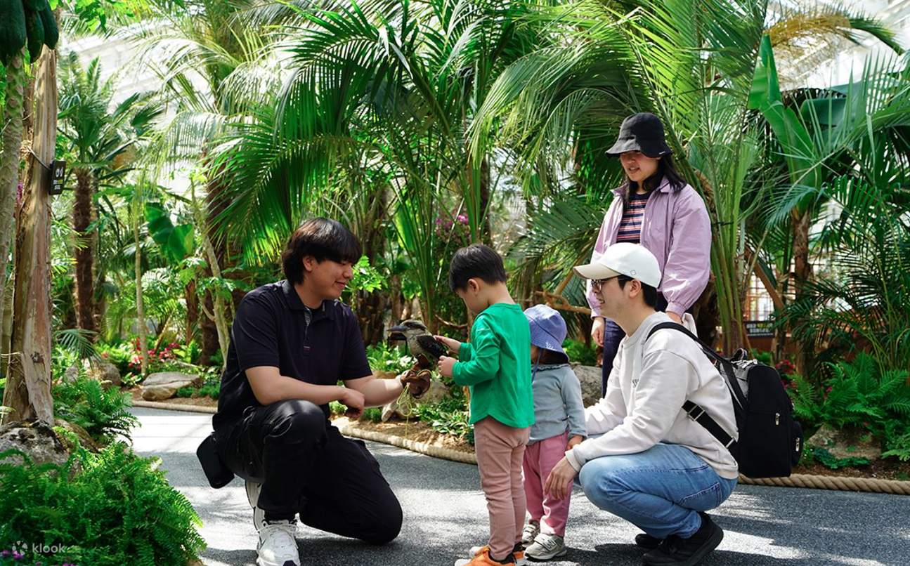 Eden Cherry Blossom Road x AQUAFIELD Jjimjilbang x Begonia Bird Park - Klook Stati Uniti