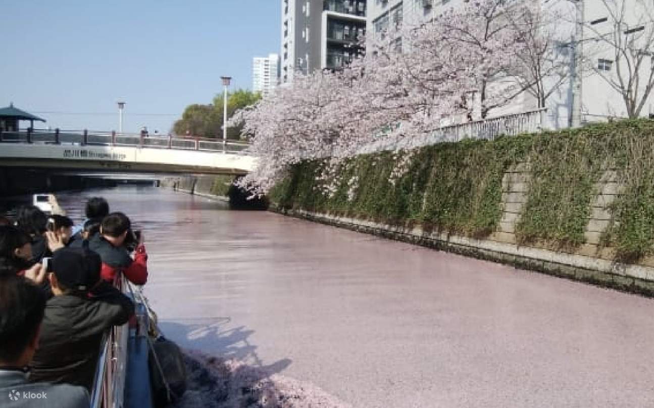 Meguro River Cherry Blossom Viewing Cruise (Tokyo) - Klook Australia