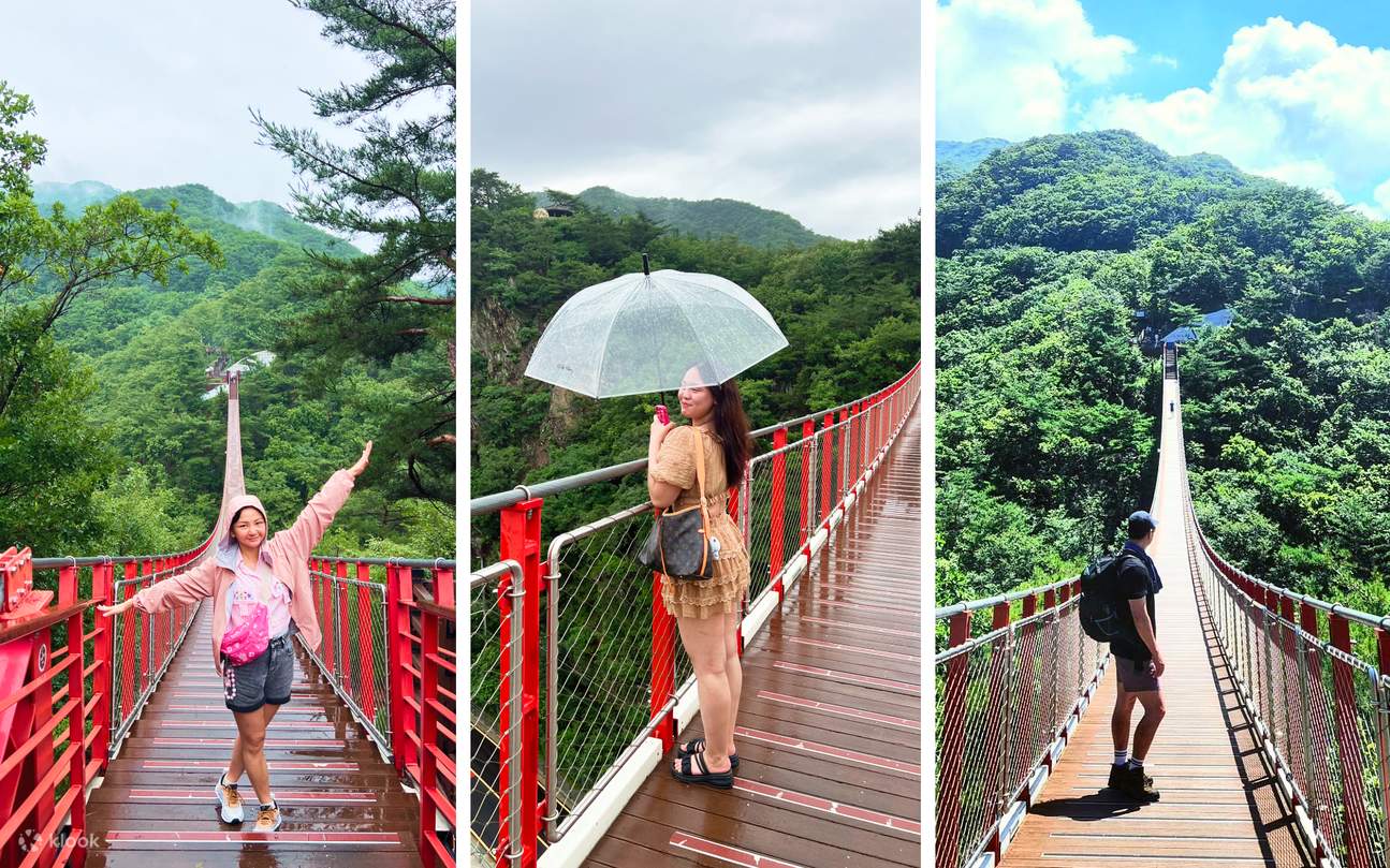 DMZ Tour with Local Specialty Liquor Tasting Courses - Klook