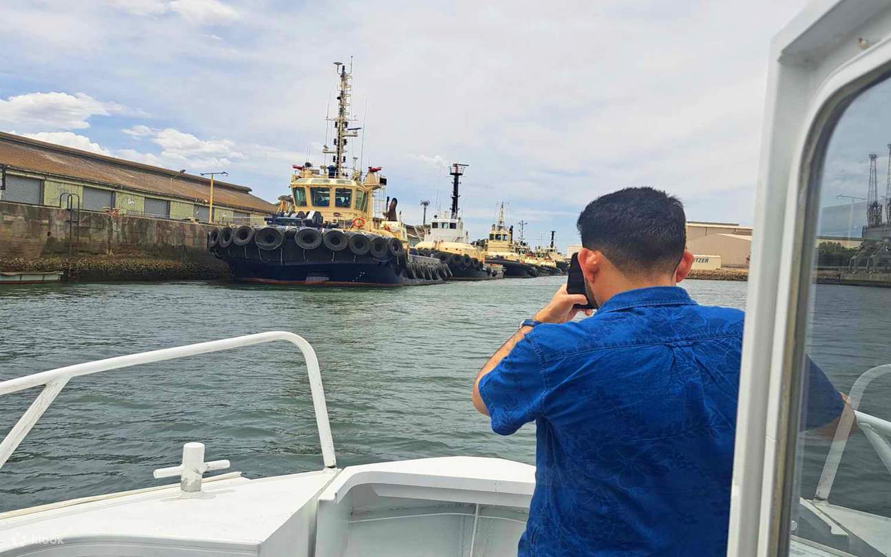 2 Hours Port River Dolphin and Maritime Cruise - Klook Australia