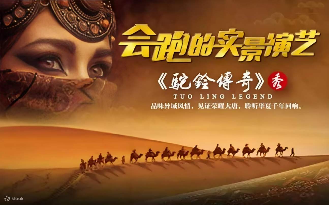 Terracotta Army + Camel Bells Legend/Romance of Xi'an Show Private Day ...