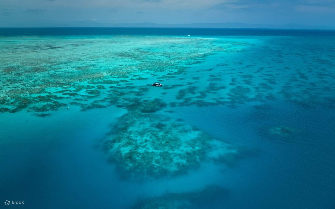Half Day Reef Adventure to Upolu Reef - Klook Australia