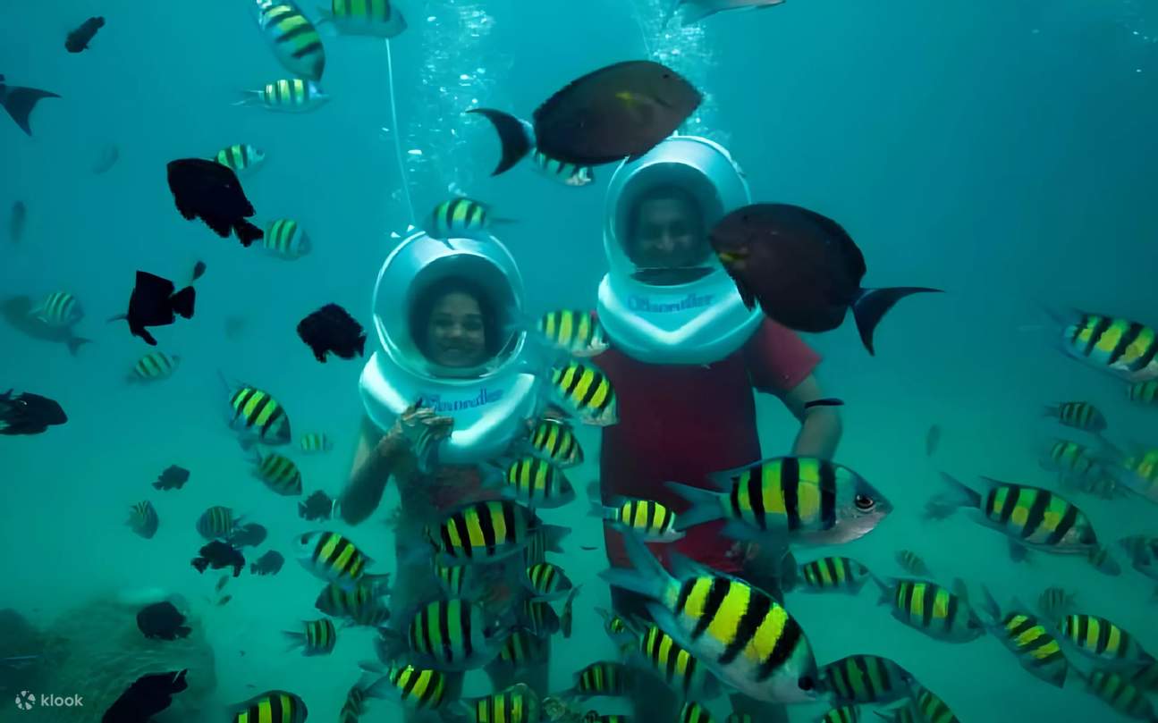 Koh Larn Coral Island Full Day Private Tour from Bangkok - Klook