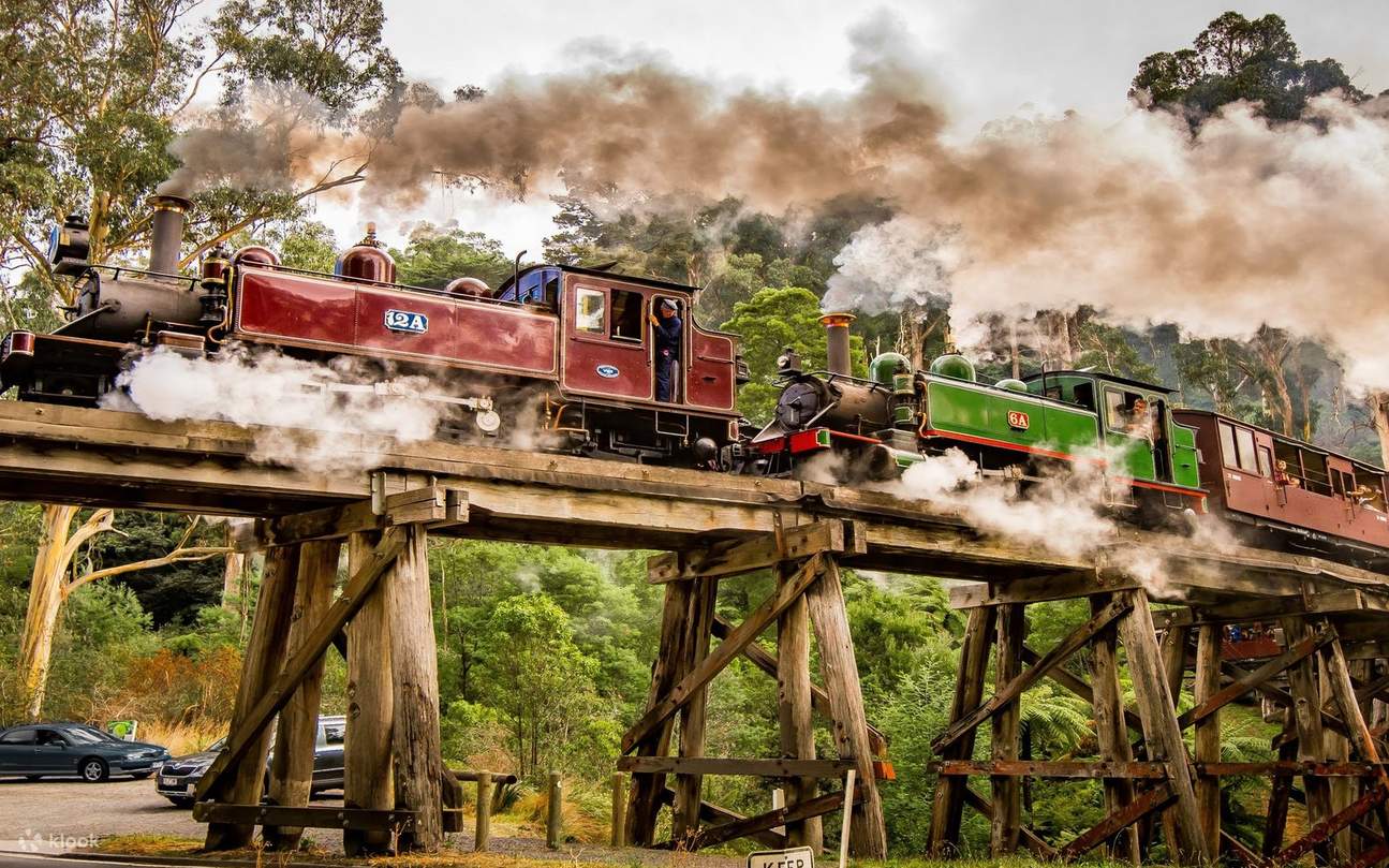 Puffing Billy Steam Train and Wildlife Zoo Day Tour from Melbourne ...