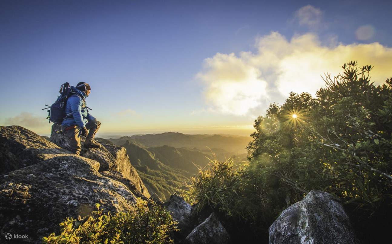 Coromandel Peninsula Exploration Experience - Klook United States