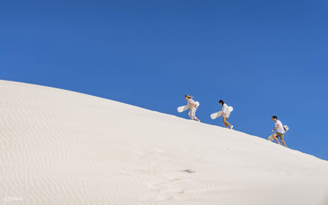 2 Day Pink Lake, Pinnacles & Sand Dunes Tour with Japanese Guide ...