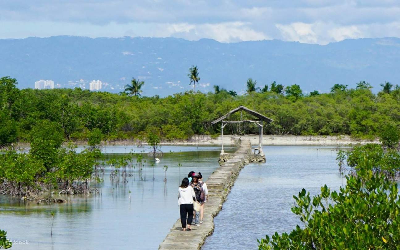 Olango Island Tour in Cebu - Klook Philippines