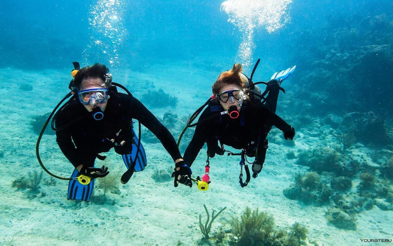 Dive into Adventure: Marmaris Scuba Diving Experience with Two Dives ...
