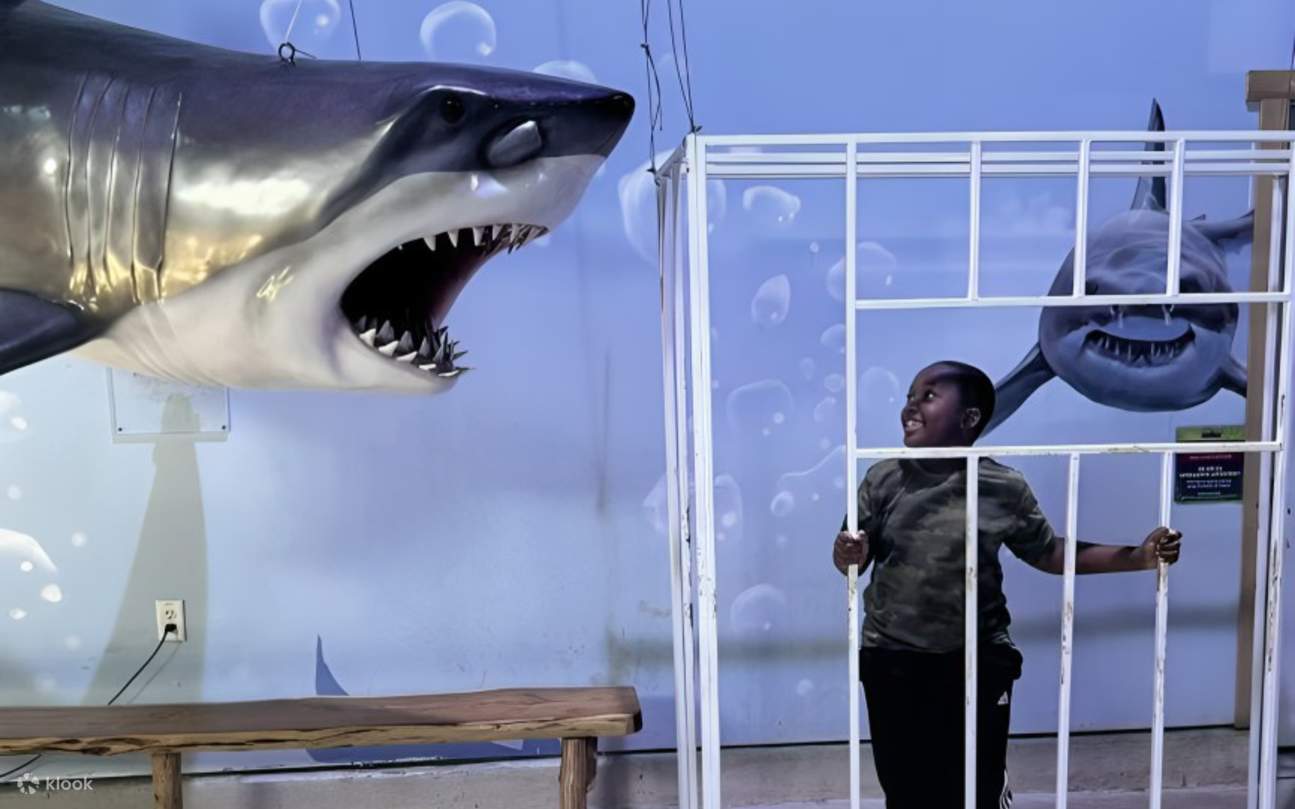 Houston Interactive Aquarium & Animal Preserve Ticket - Klook Hong Kong