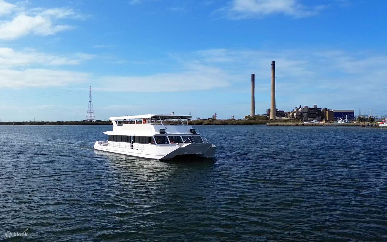 2 Hours Port River Dolphin and Maritime Cruise - Klook Australia