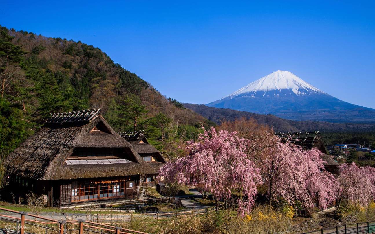Muslim Friendly Mt. Fuji Day Tour with Halal Lunch & Prayer Time ...