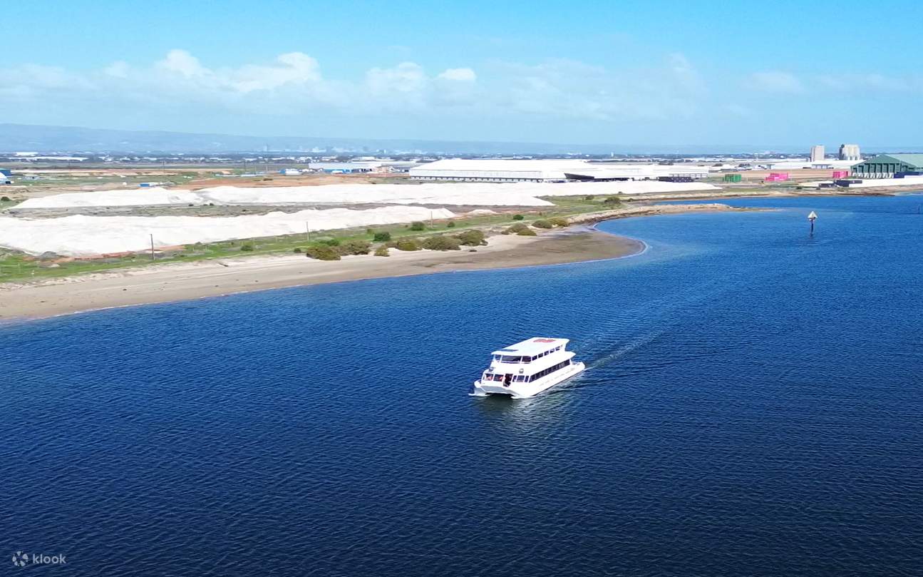 2 Hours Port River Dolphin and Maritime Cruise - Klook New Zealand