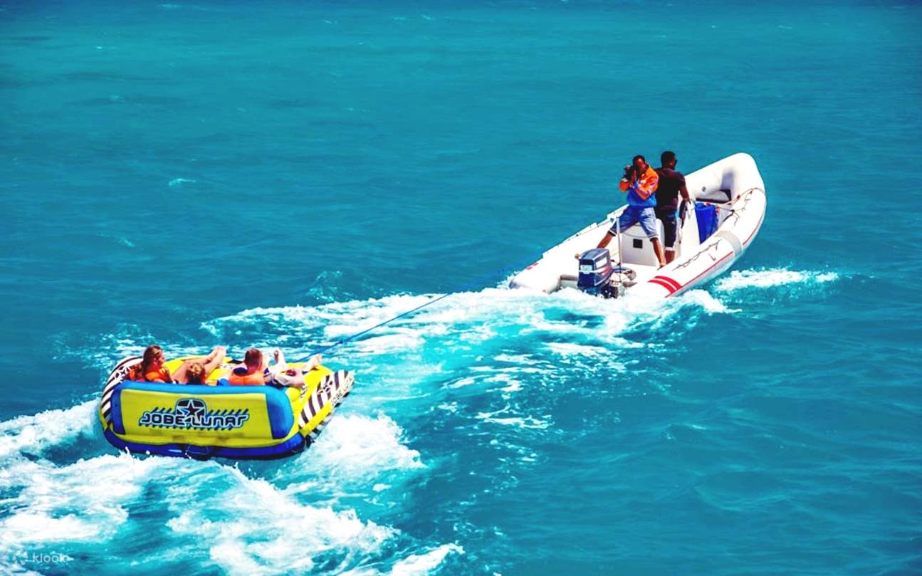 Explore the Red Sea: Dolphin Watching Boat Tour with Snorkeling & Lunch in Hurghada - Klook Malaysia