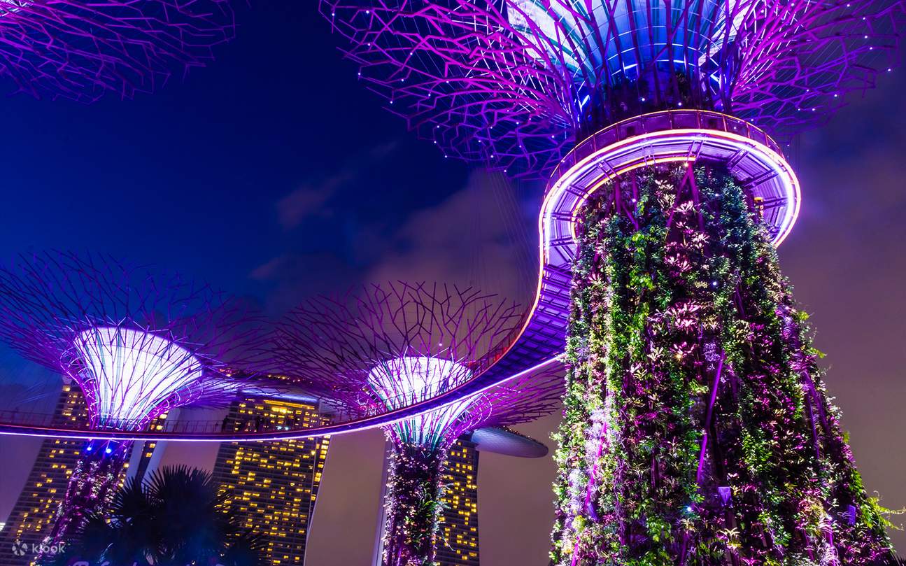 Singapore Starry Night: River Cruise, Garden Rhapsody and Spectra - Klook