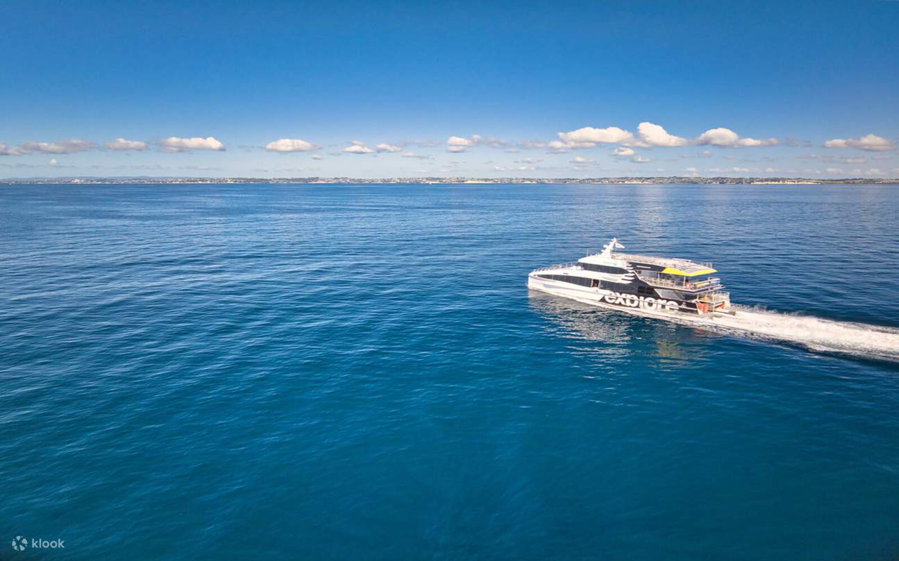 Coromandel Peninsula Exploration Experience - Klook United States