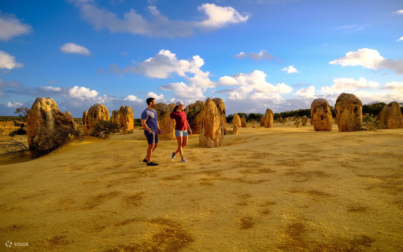 2 Day Pink Lake, Pinnacles & Sand Dunes Tour with Japanese Guide ...