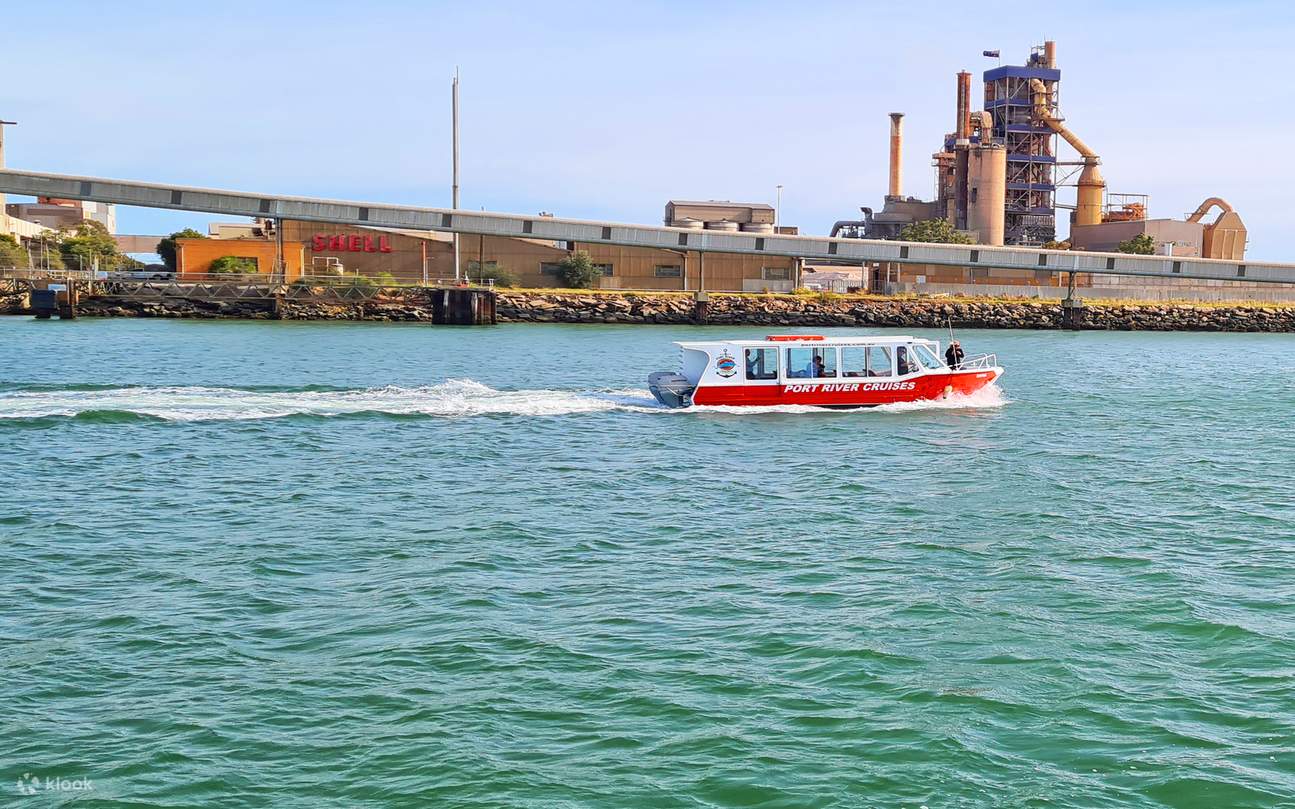 2 Hours Port River Dolphin and Maritime Cruise - Klook