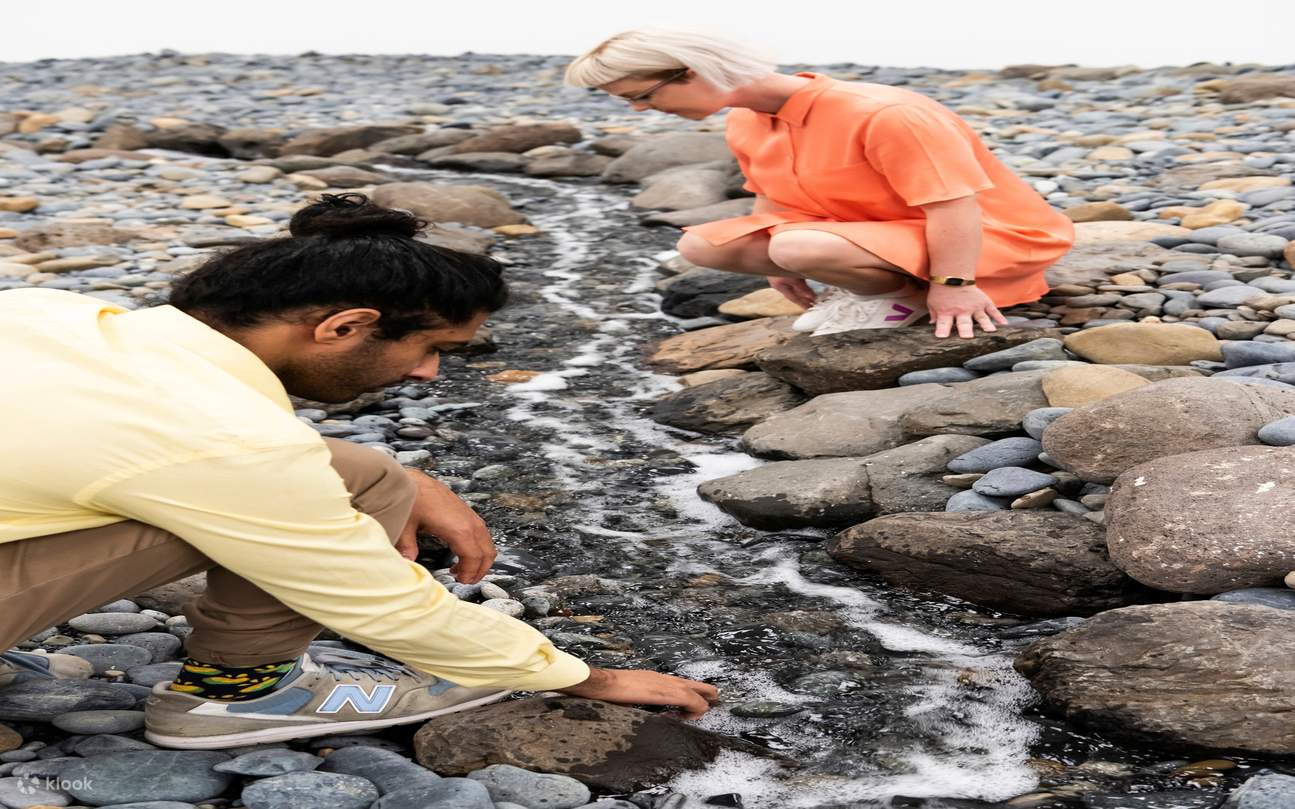 Olafur Eliasson: Presence - Klook Hong Kong