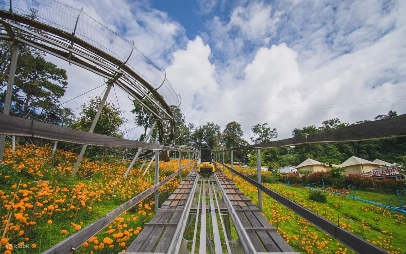 Chiang Mai: Mon Jam and Pongyang Jungle Private Day Trip - Klook