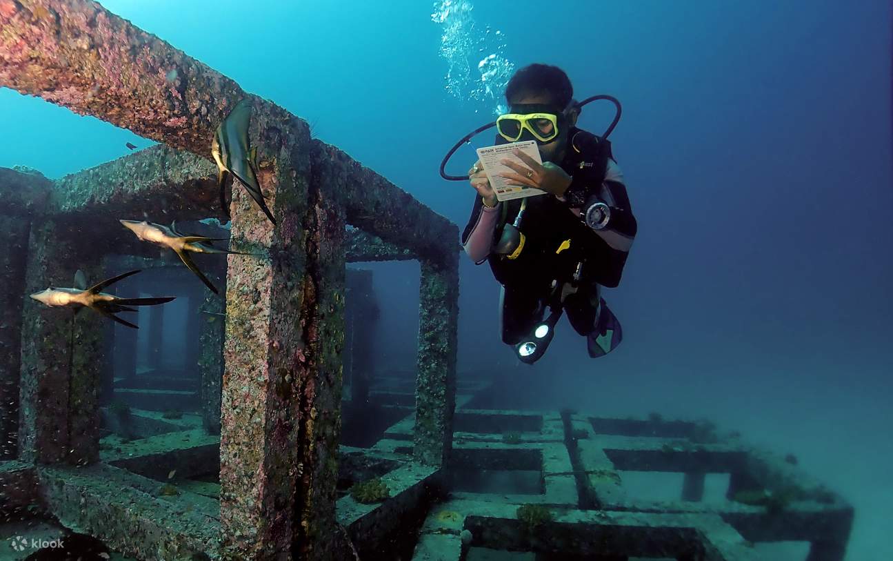 Become an Advanced Diver with PADI AOW Course in Phuket at Our PADI 5 ...