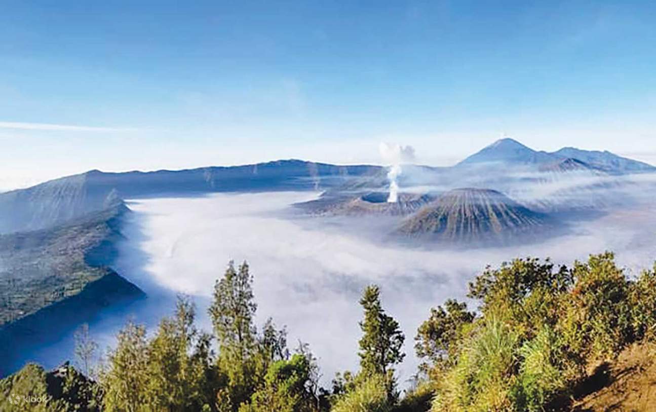 3 Day Mount Bromo and Ijen Volcano Private Tour from Yogyakarta - Klook