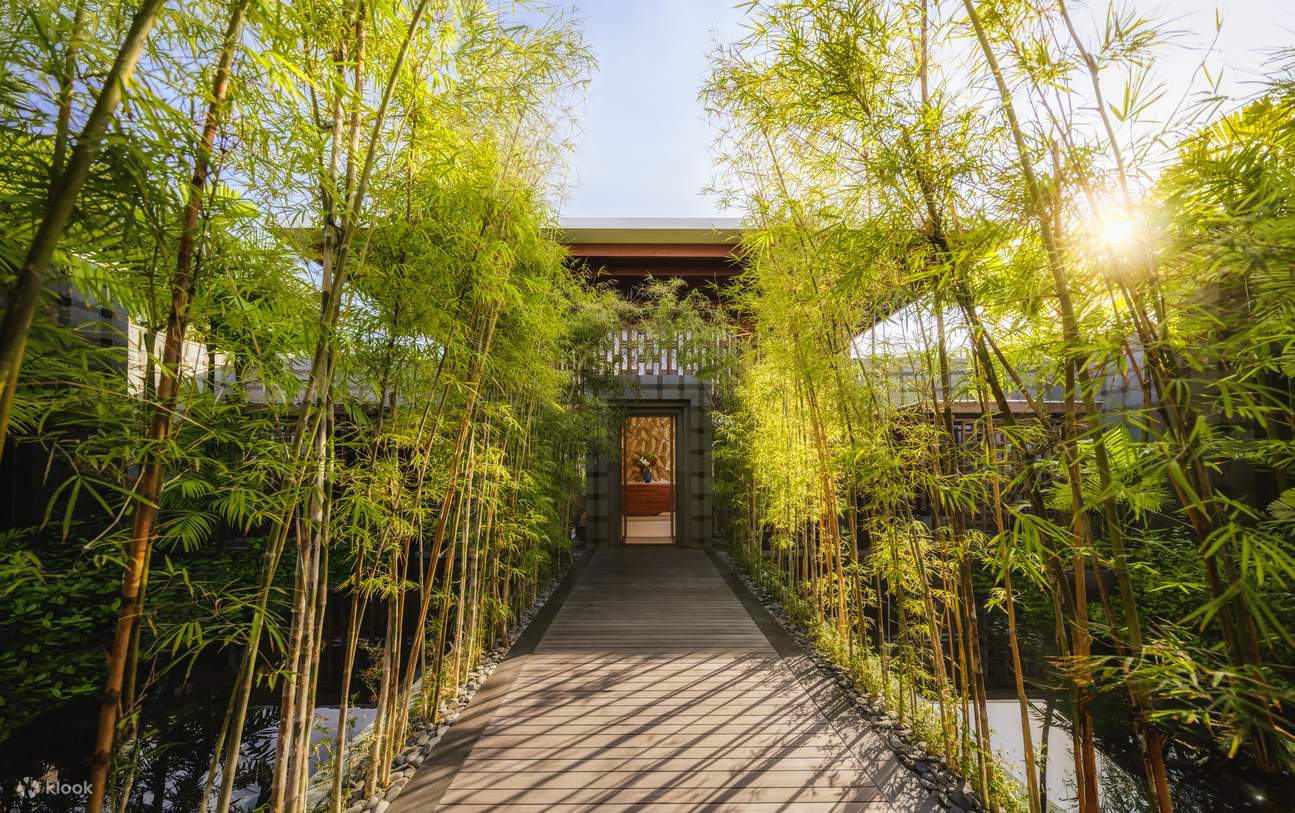 Ultimate Spa & Wellness Indulgence at Regent Bali Canggu - Klook New ...