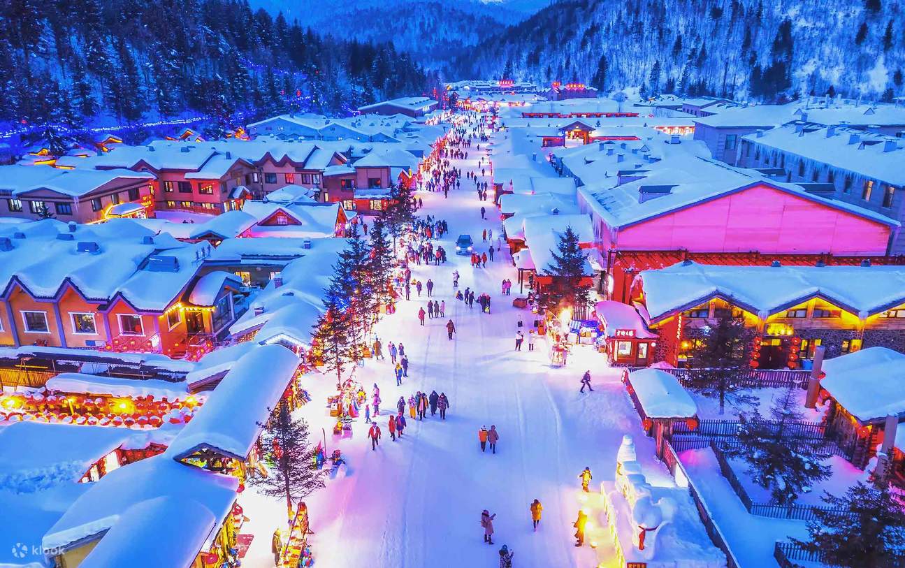 5-Day Tour to Snow Town, Harbin, Northeast China (Harbin Ice and Snow ...