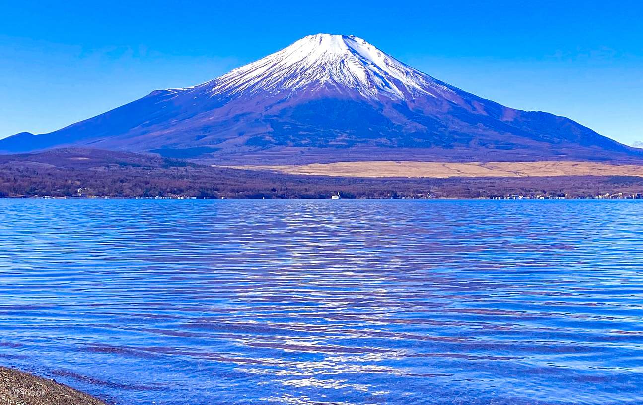 Mount Fuji and Hakone Day Trip with Cable Car Experience - Lake ...