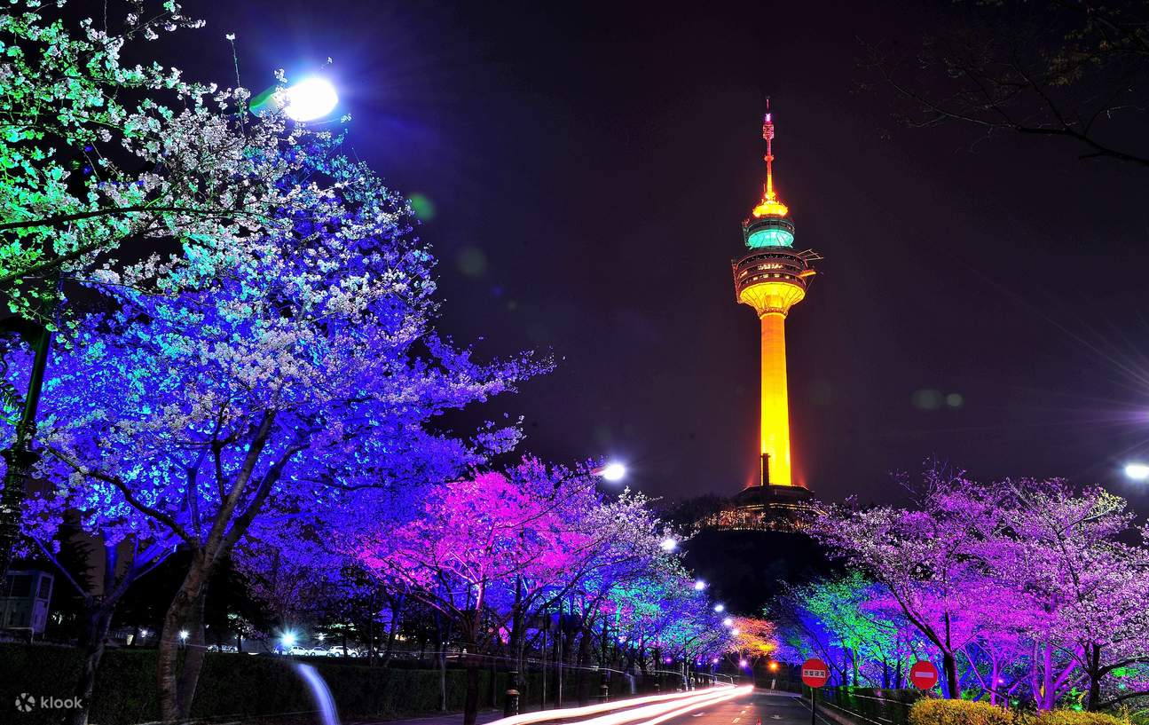 Daegu E-WORLD Land & Spring Cherry Blossom Day Tour - Klook Philippines