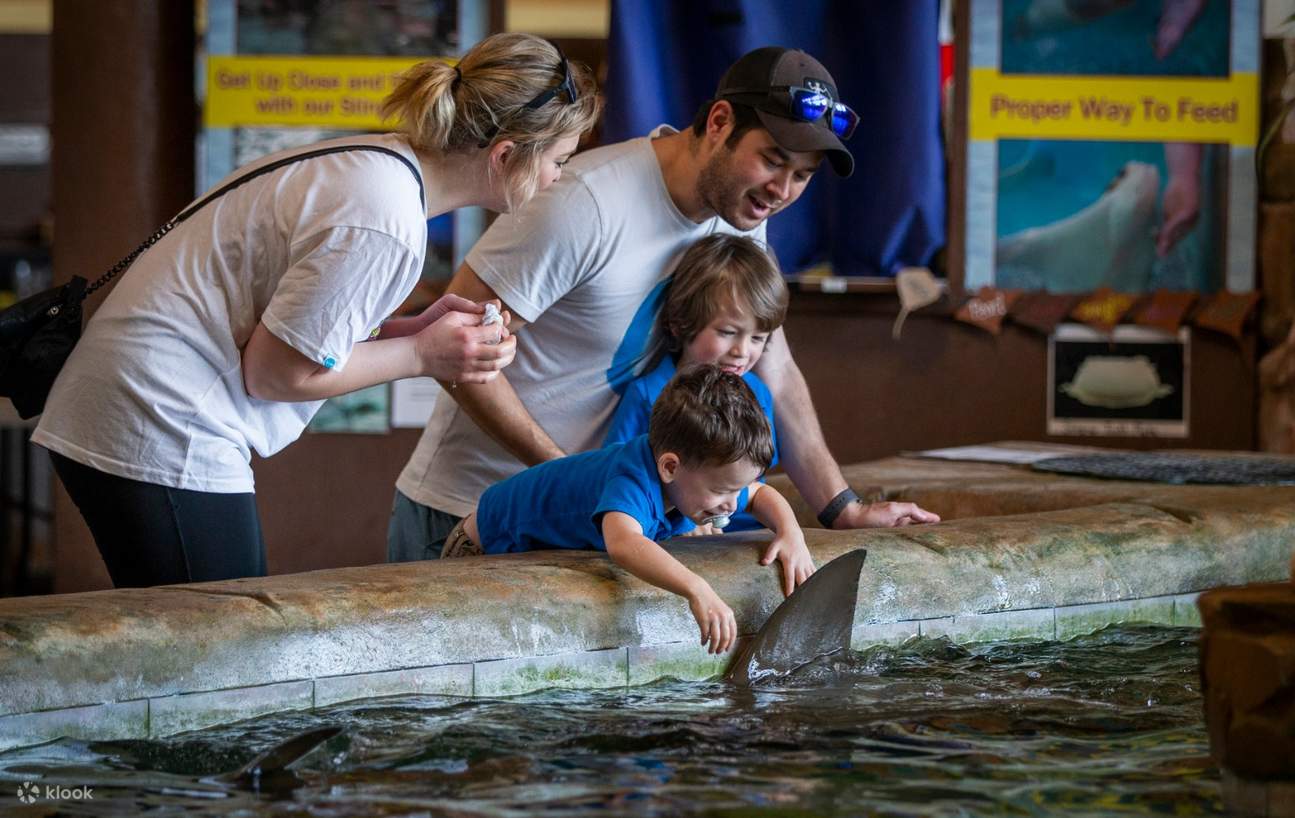1 Day Gulf World Marine Park Ticket in Panama City Beach - Klook United ...