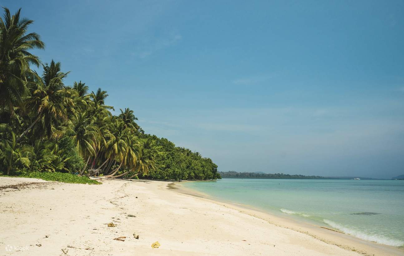 Port Blair: Havelock Island Day Trip with Ferry & Private Cab - Klook ...