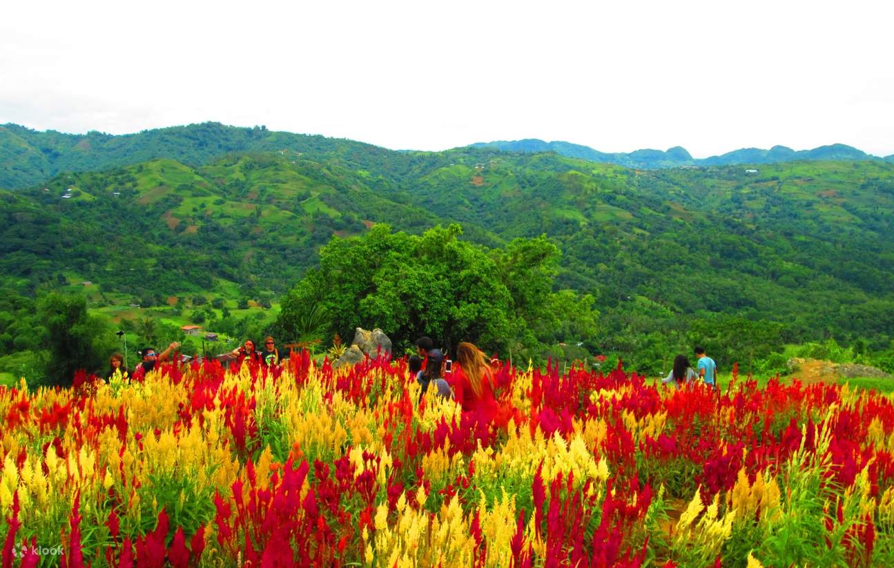 Cebu City Private Day Tour, Philippines - Klook Philippines