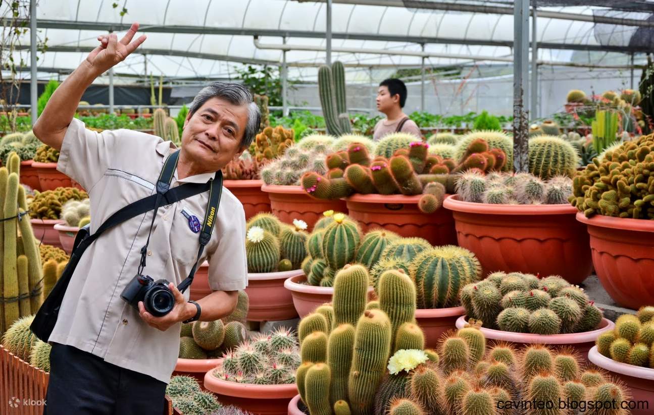 PRIVATE CAMERON HIGHLANDS DAY TOUR FROM KUALA LUMPUR - Klook United States