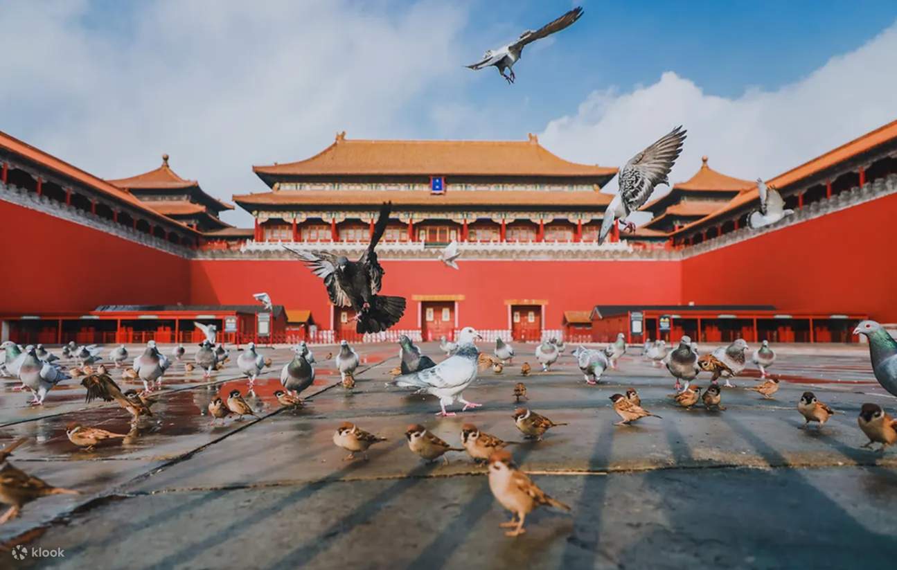 5 days and 4 nights fun tour of Beijing's highlights (in-depth tour of ...