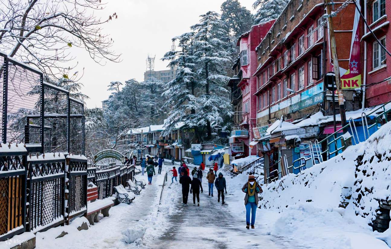 Shimla Highlights: Full-Day Guided Tour with Kufri Hill Station - Klook ...