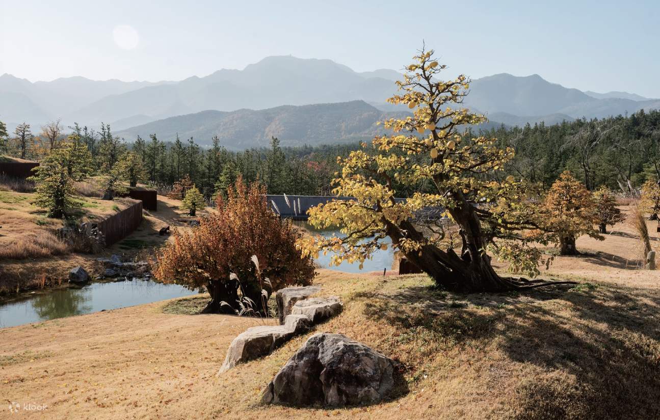 Daegu Sayuwon Arboretum Ticket - Klook Canada