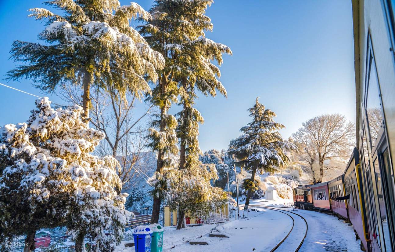 Shimla Highlights: Full-Day Guided Tour with Kufri Hill Station - Klook