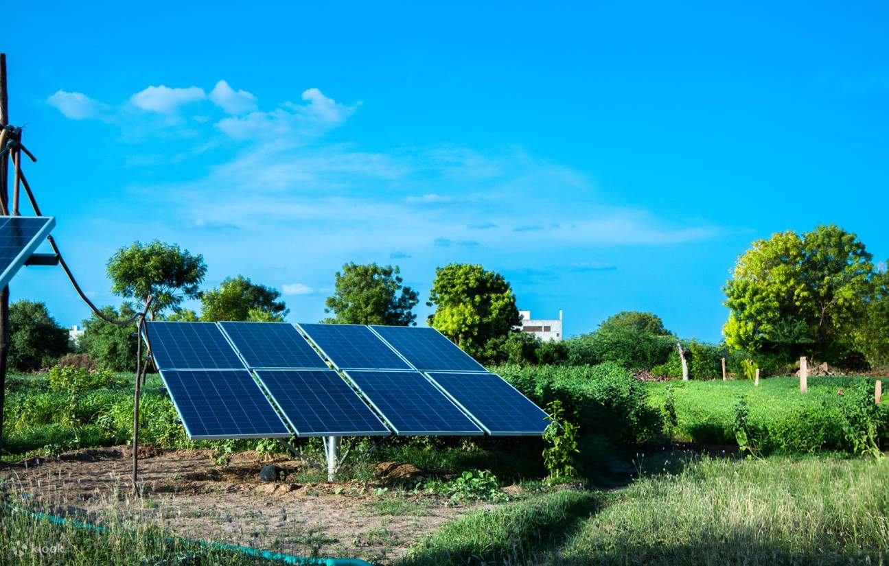 Rural Varanasi: Full-Day Guided Village Tour by car - Klook Australia