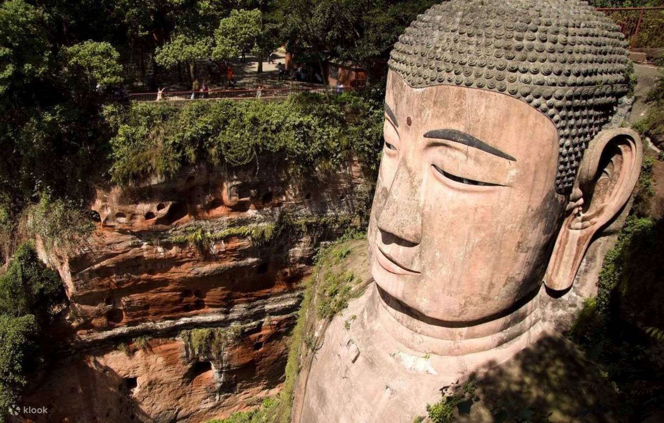 Chengdu Panda Base + Leshan Giant Buddha One-Day Guided Tour (English ...