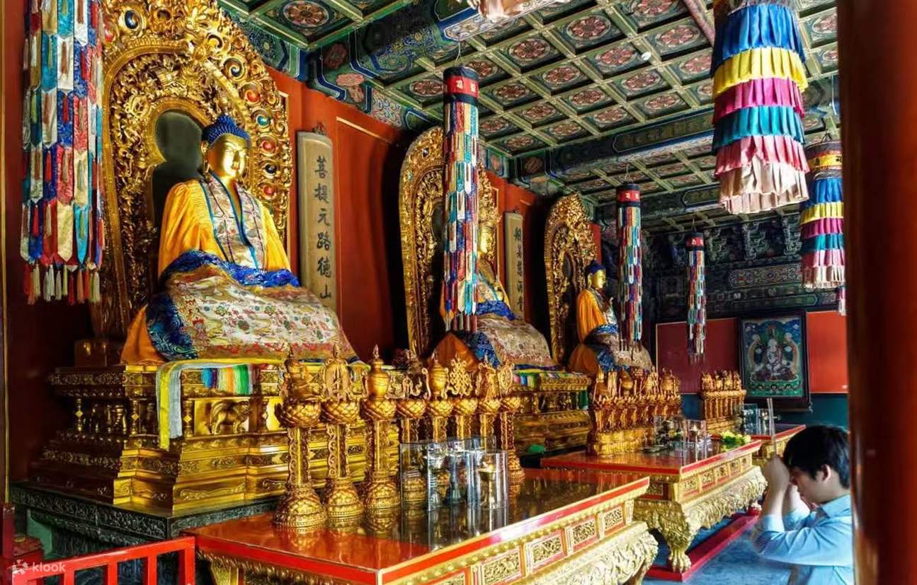 Beijing Prince Gong's Mansion & Lama Temple Double Scenic One-Day Tour ...