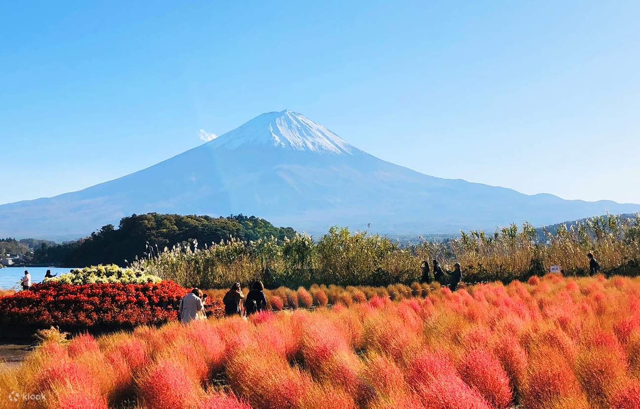 Kawaguchiko and Yamanakako Onsen on a 1-Day Bus Tour from Tokyo - Klook ...