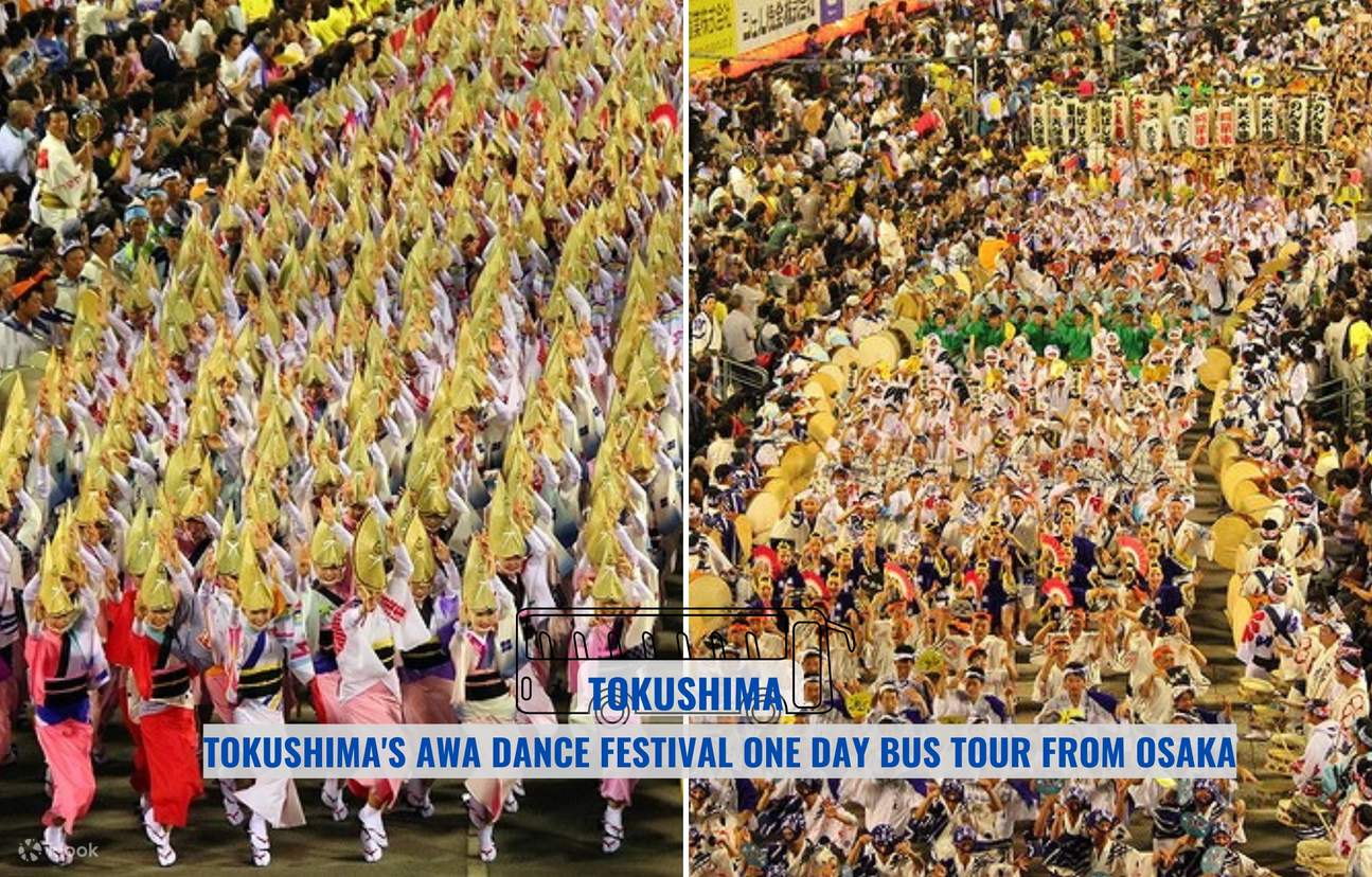 Tokushima's Awa Dance Festival Join In One Day Bus Tour from Osaka - Klook Hong Kong