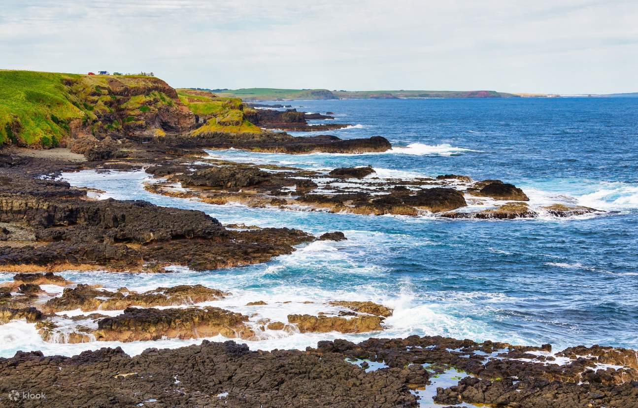Explore Phillip Island with our Self Guided Driving Tour - Klook New ...