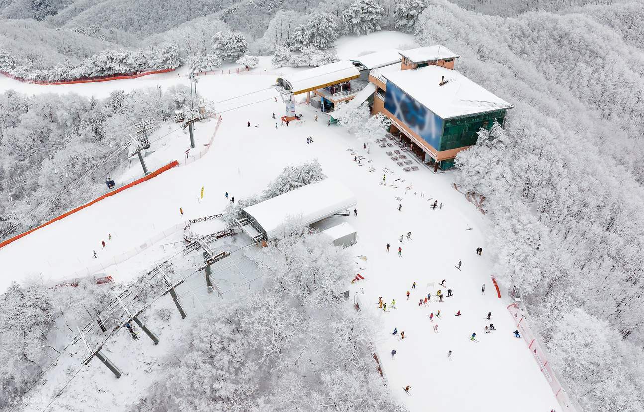 Vivaldi Park Snowyland & Eobi Ice Valley Day Tour from Seoul - Klook ...