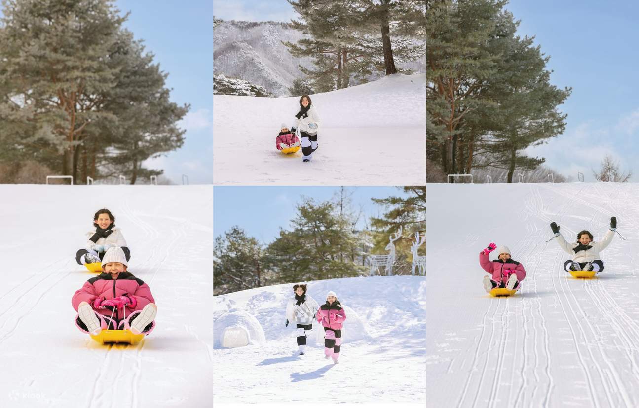 Vivaldi Park Snowyland & Eobi Ice Valley Day Tour from Seoul - Klook ...