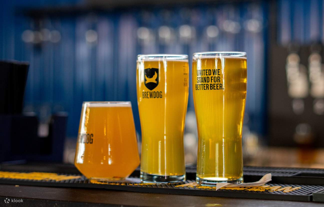 Beer Flight Tasting Experience with Meal at BrewDog Dubai - Klook Hong Kong